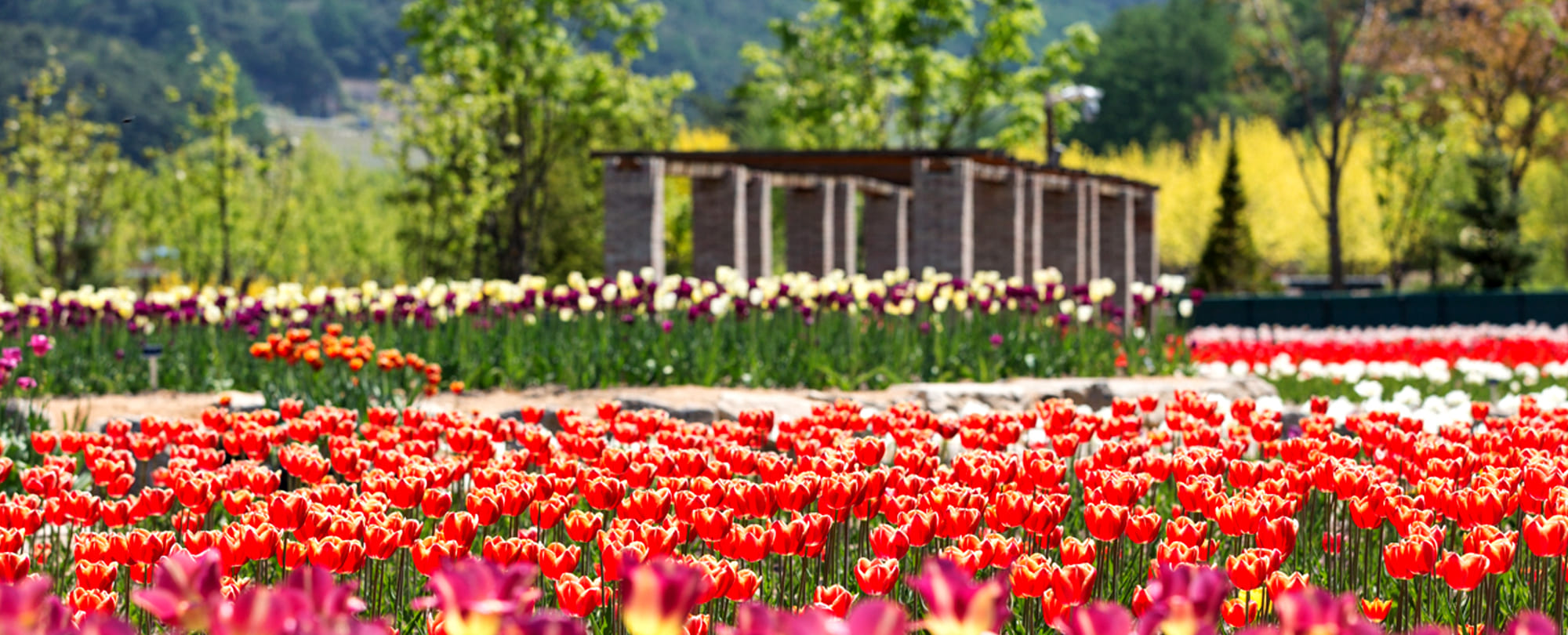 국립백두대간수목원