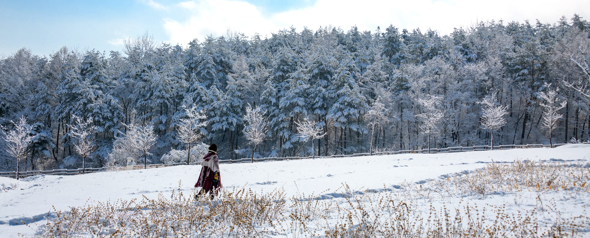 국립백두대간수목원